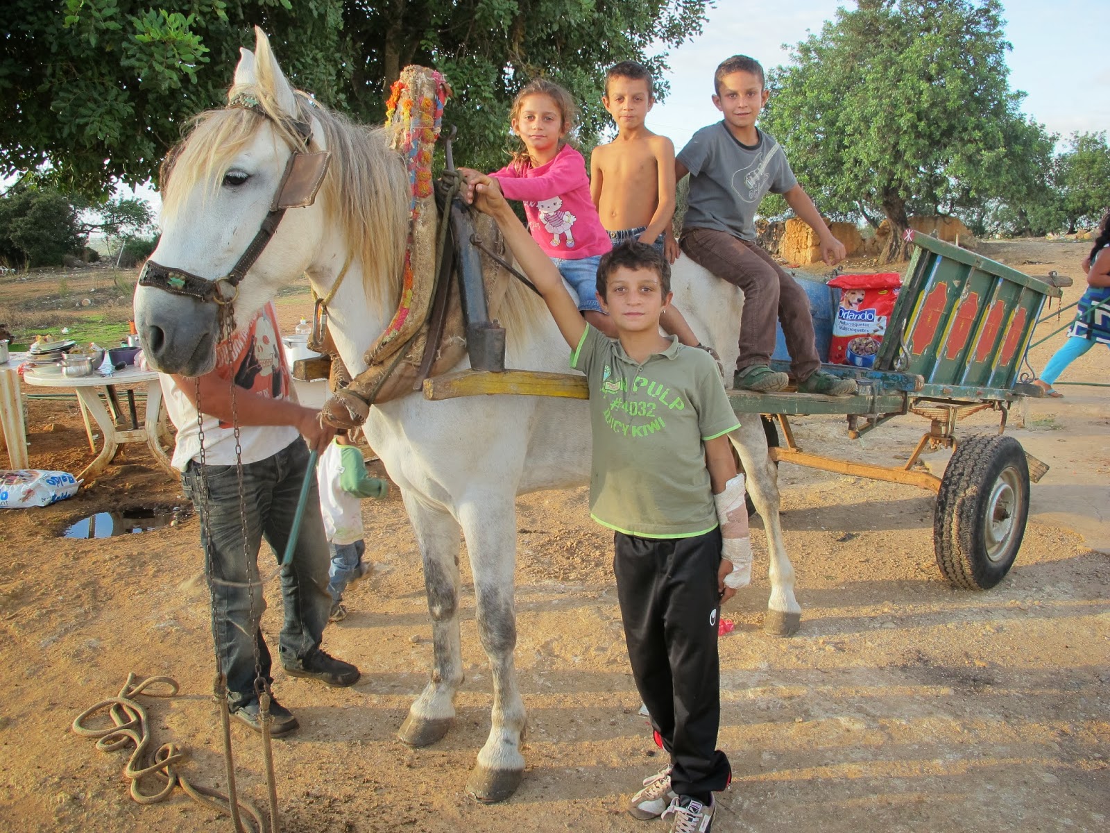 Portugal Newswatch: Gypsies on the road to integration