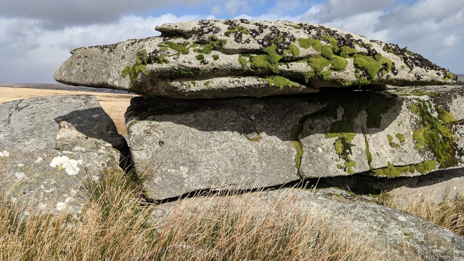 Max Piper - Tor Bagger: Dartmoor: Bagging Arch Tor