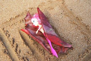A Little Learning For Two: Beach Sand Doll House