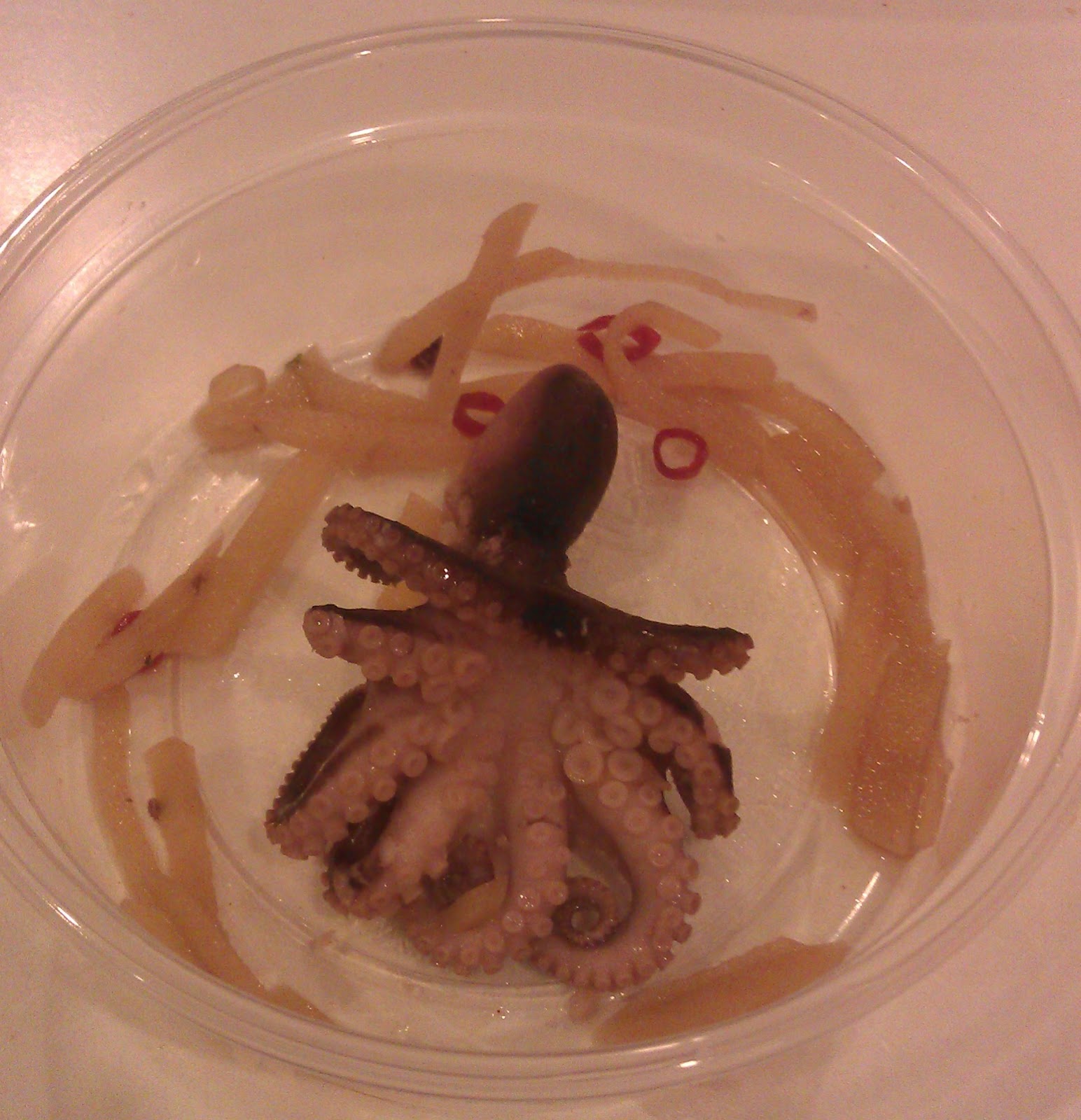 AC E-xpression: Shit Chinese People Eat: Baby Octopus
