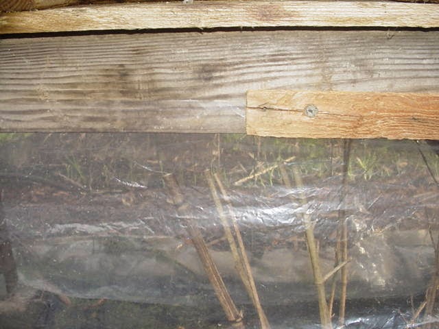 Hoophouse on the Slug Moat | Permaculture, Perennial Polycultures ...