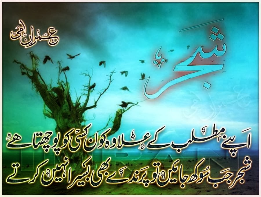 Apnay Matlab Kay ilawa... - Urdu Sad Poetry