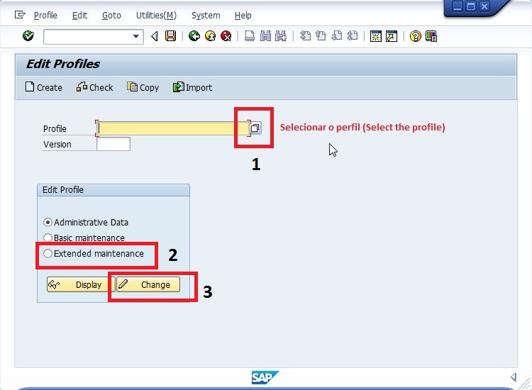 BASIS SAP - Paulo Dond: Configurar logoff automático por ociosidade no SAP GUI. (Configure ...