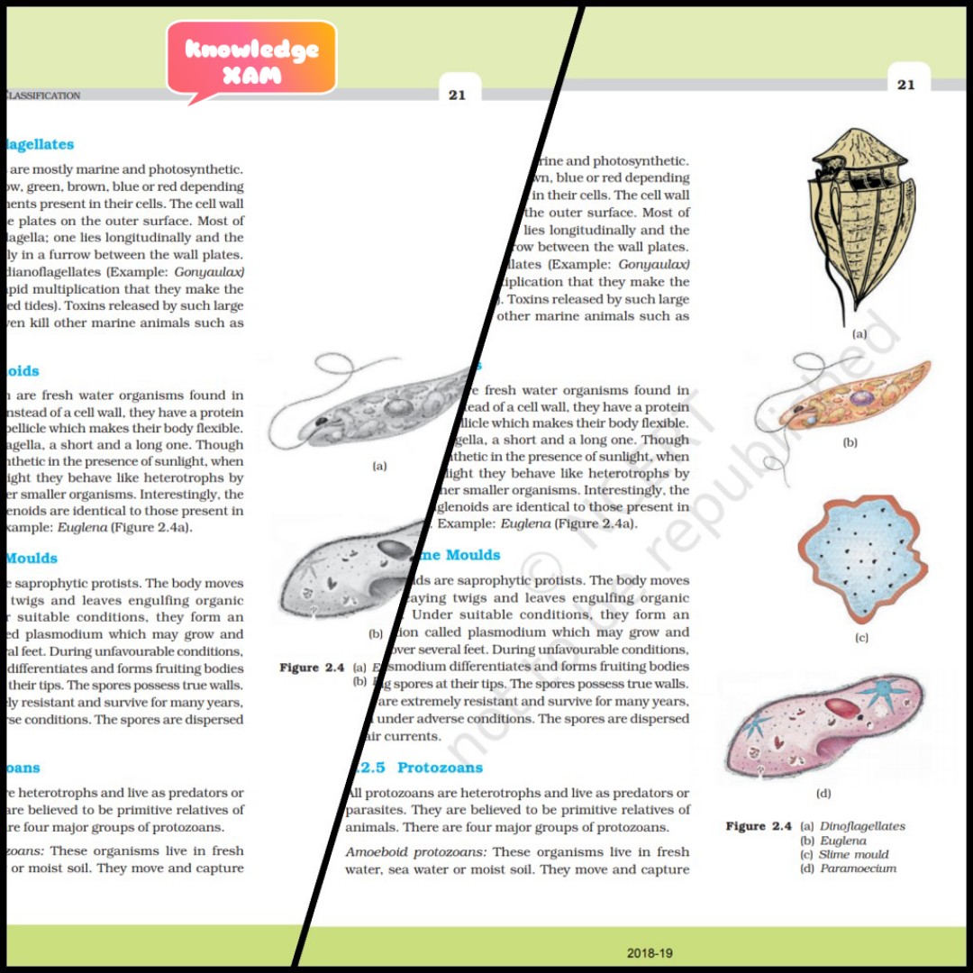 Diagrammatic corrections in NCERT Biology 2018-19 |Old v/s New| |keXAM|