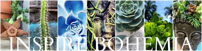 Cactus Architecture!?