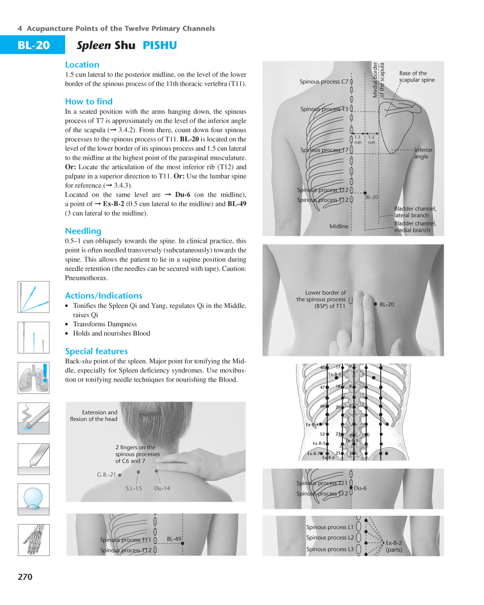 Acupuncture Masters: Acupuncture Points Database - Bladder Channel