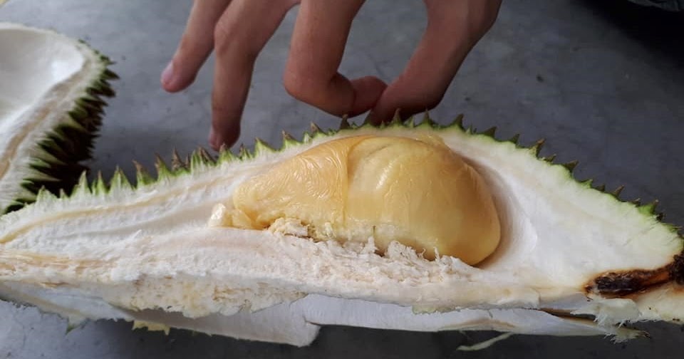 Report Card Day And Durians