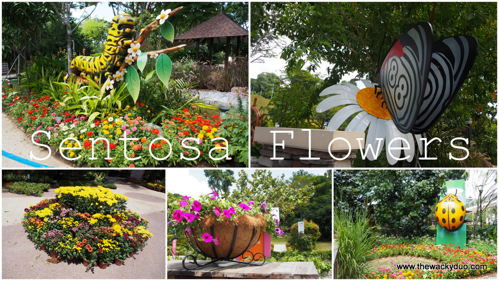 Sentosa Flowers 2013 @ Palawan Beach - TheWackyDuo.com - Singapore ...