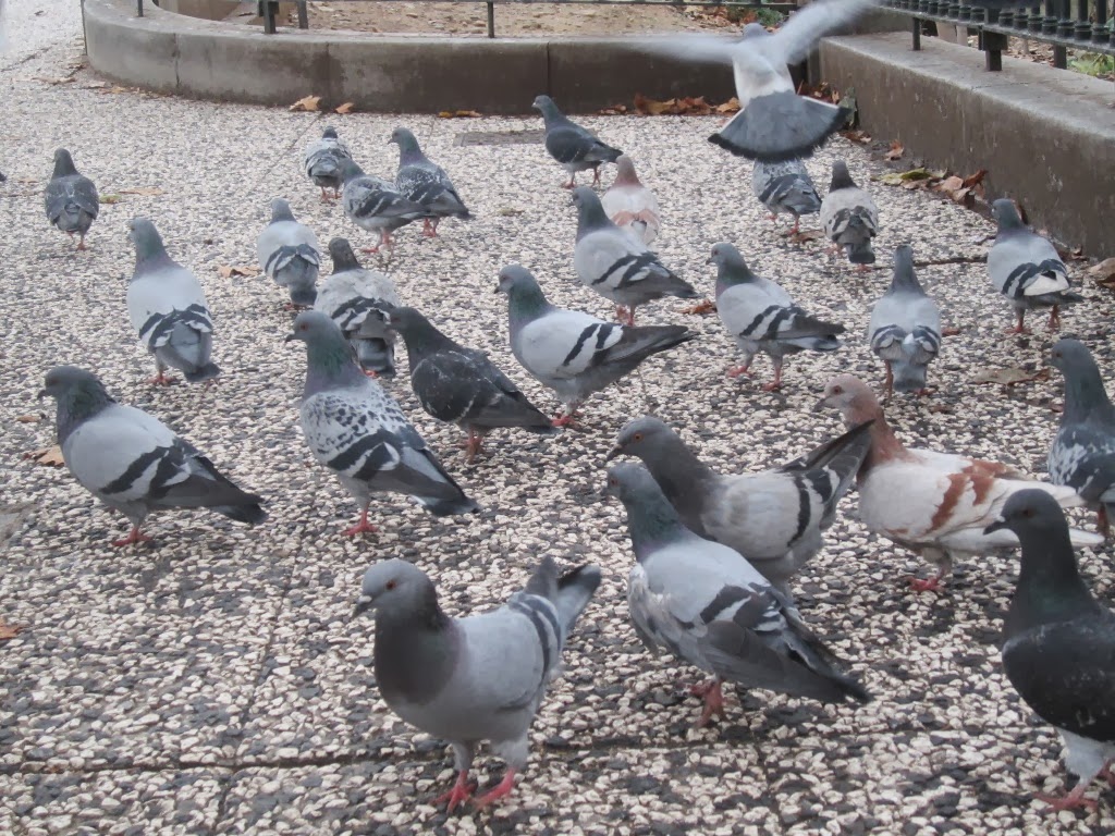 Mis experiencias mis imágenes: 12/01/2013 - 01/01/2014