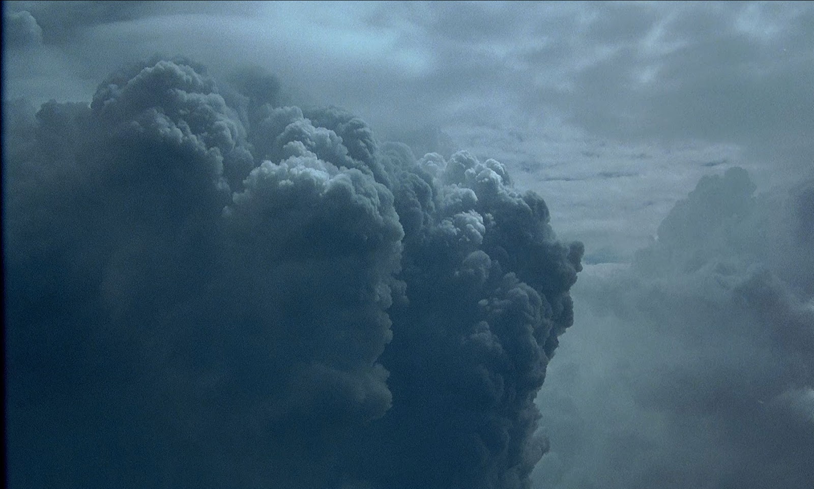 The Beautiful Film Frames: Microcosmos (1996) Blu-Ray Screenshots