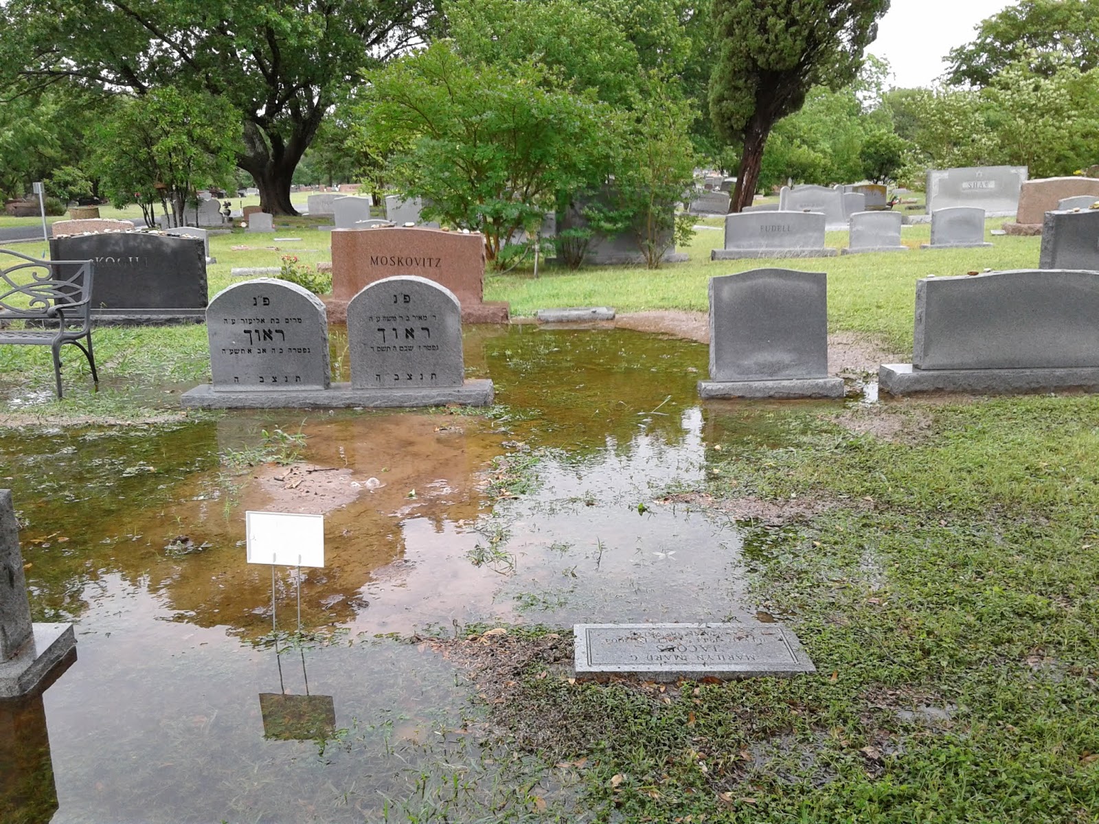 Protect Austin Cemeteries from PARD!: Not-So-Benign Neglect