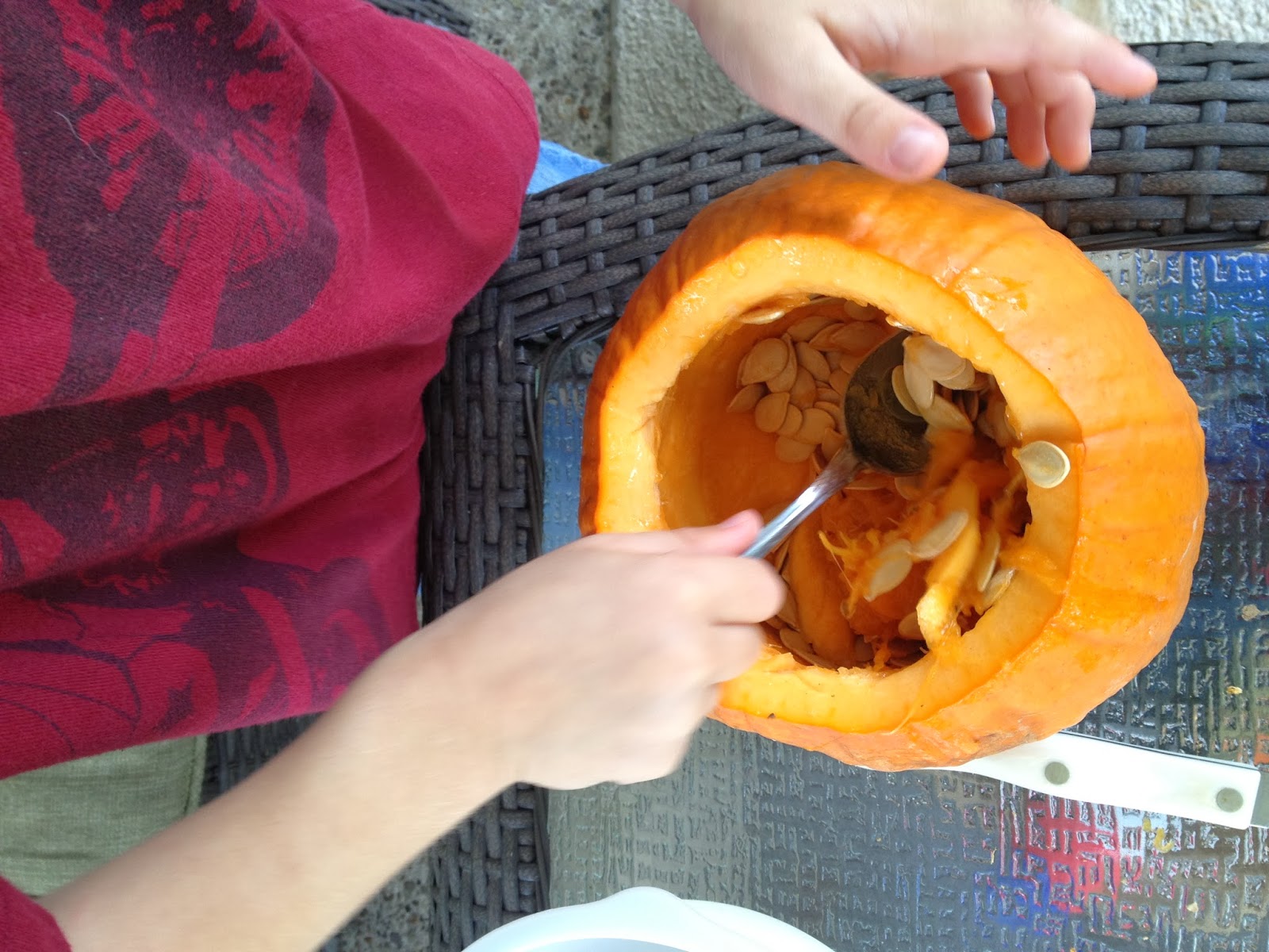 Just Shy of a Y: Sweet Apple Farm