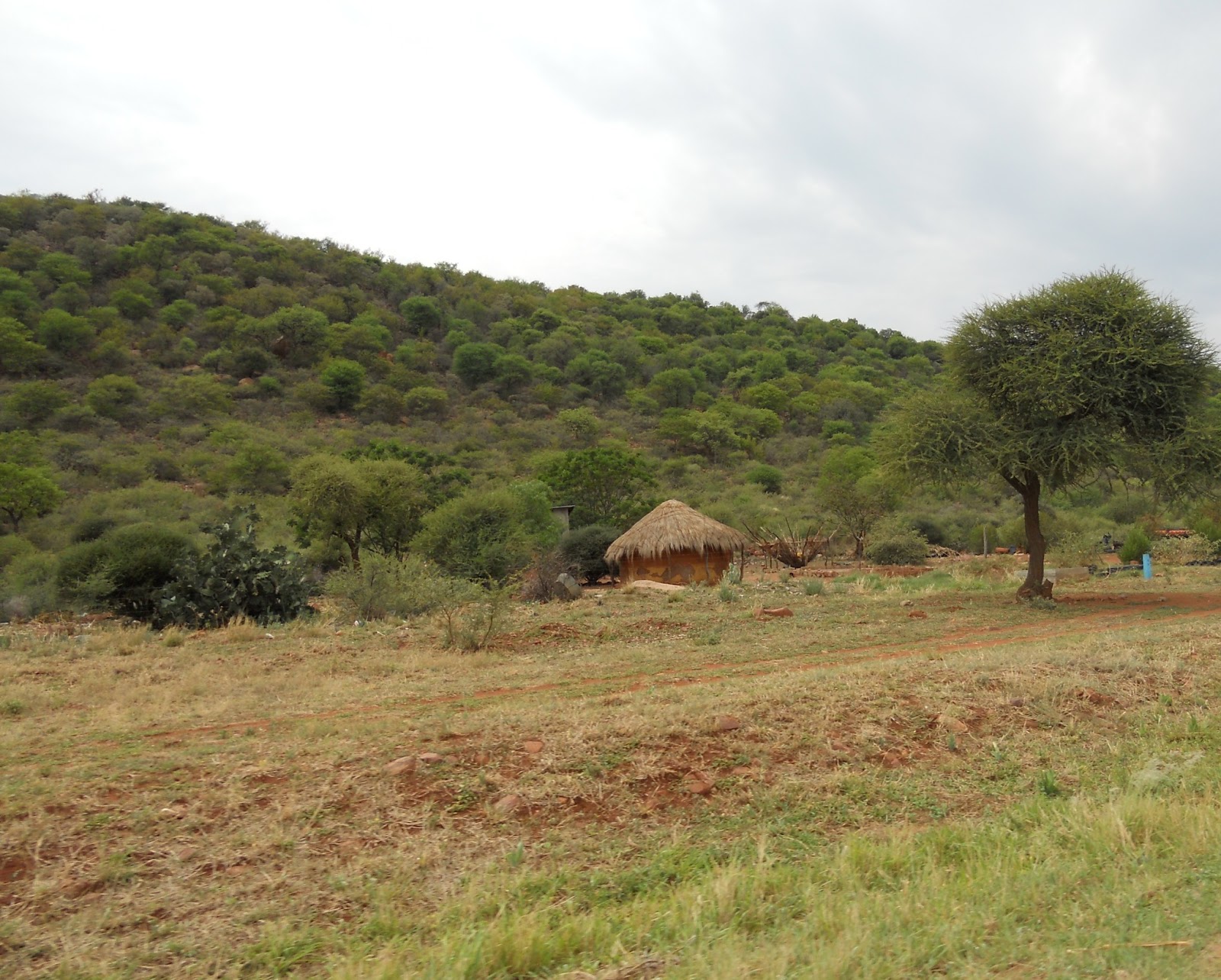 Beautiful Botswana: Simple Thamaga Village