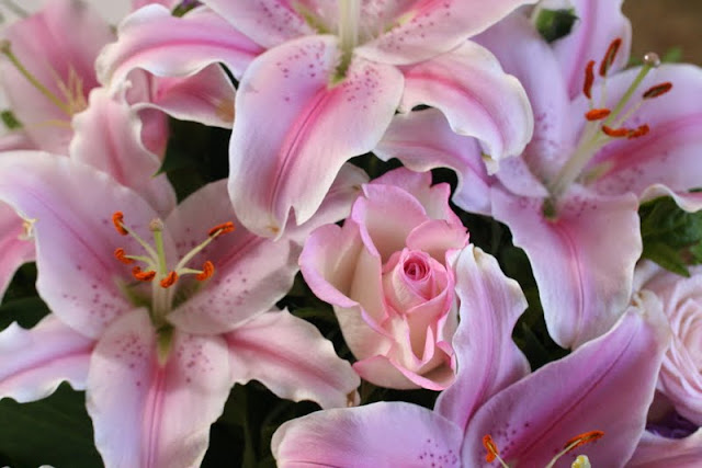 Lilyfield Life: Fading Blooms for Saturday Flowers