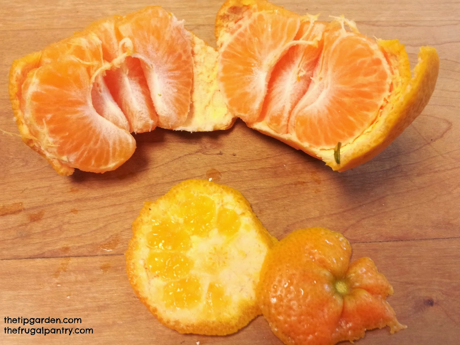 The Frugal Pantry Easy Peel Orange Trick For Your Childs Lunch Box the-frugal-pantry-easy-peel-orange-trick-for-your-childs-lunch-box