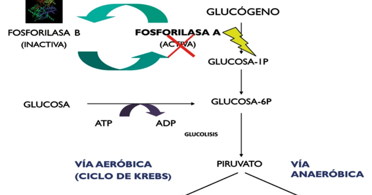 Exposición sobre Investigación sobre en Enfermendades Raras: Enfermedad ...