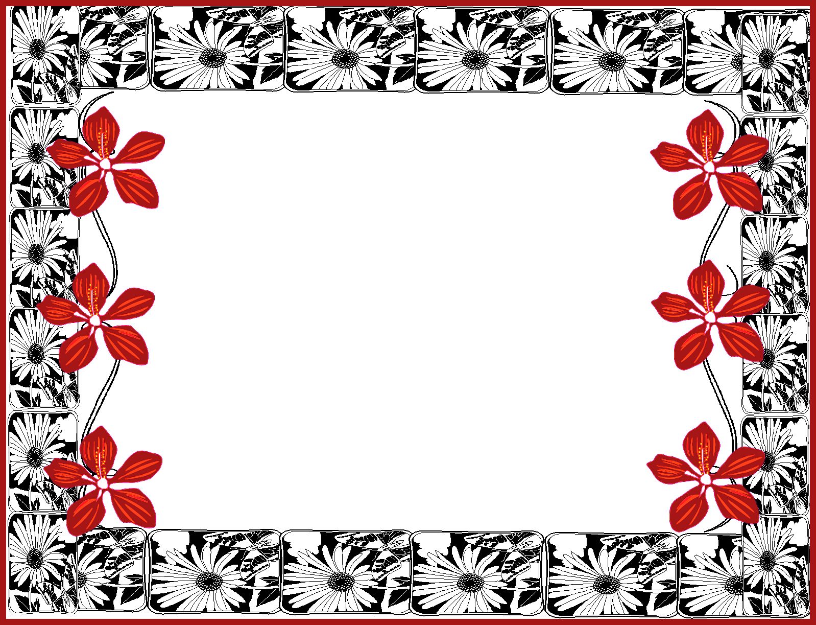 30 Beautiful Daisy Borders