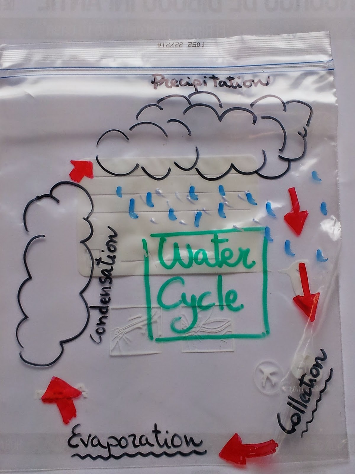 San Prudencio English Corner 1: WATER CYCLE EXPERIMENT!!
