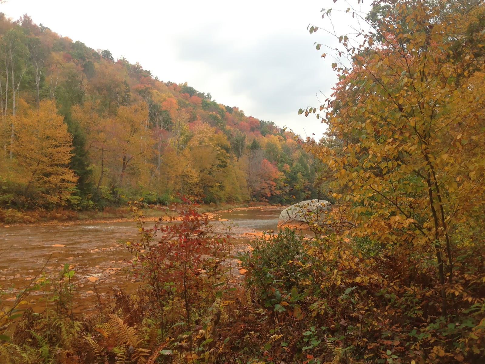 Hiking and camping in MD, PA and beyond: Allegheny Front Trail - West Loop