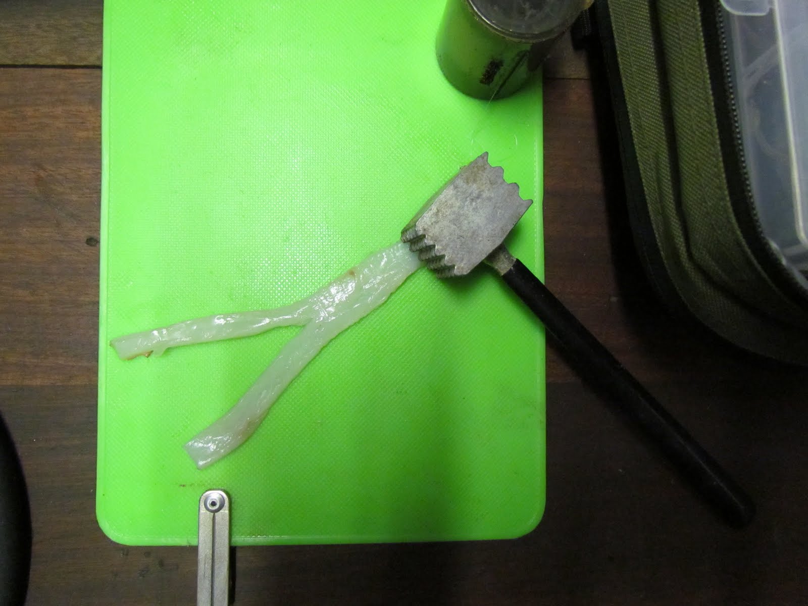 Angling: Chokka bait for white steenbras