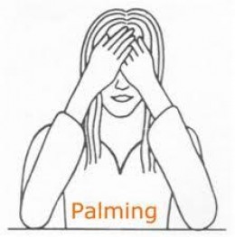 Prillidest priiks: Palming