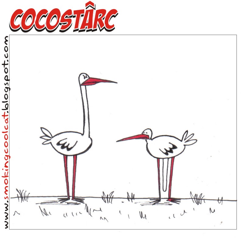 Smoking Cool Cat: Cocostarc