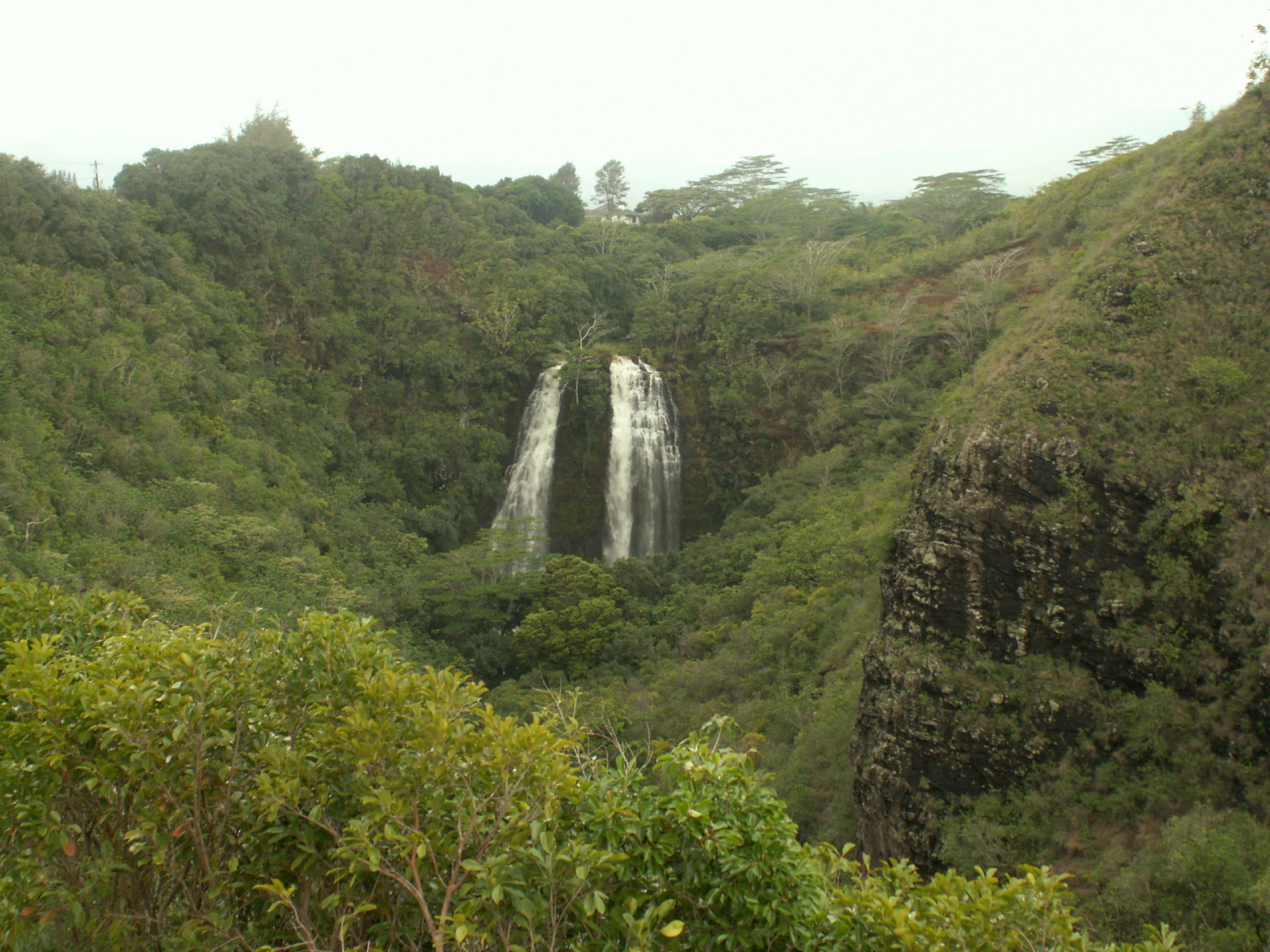 The "Gallory" of Gavin & Mallory