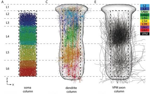 Things We Don't Know: How do we fall asleep?