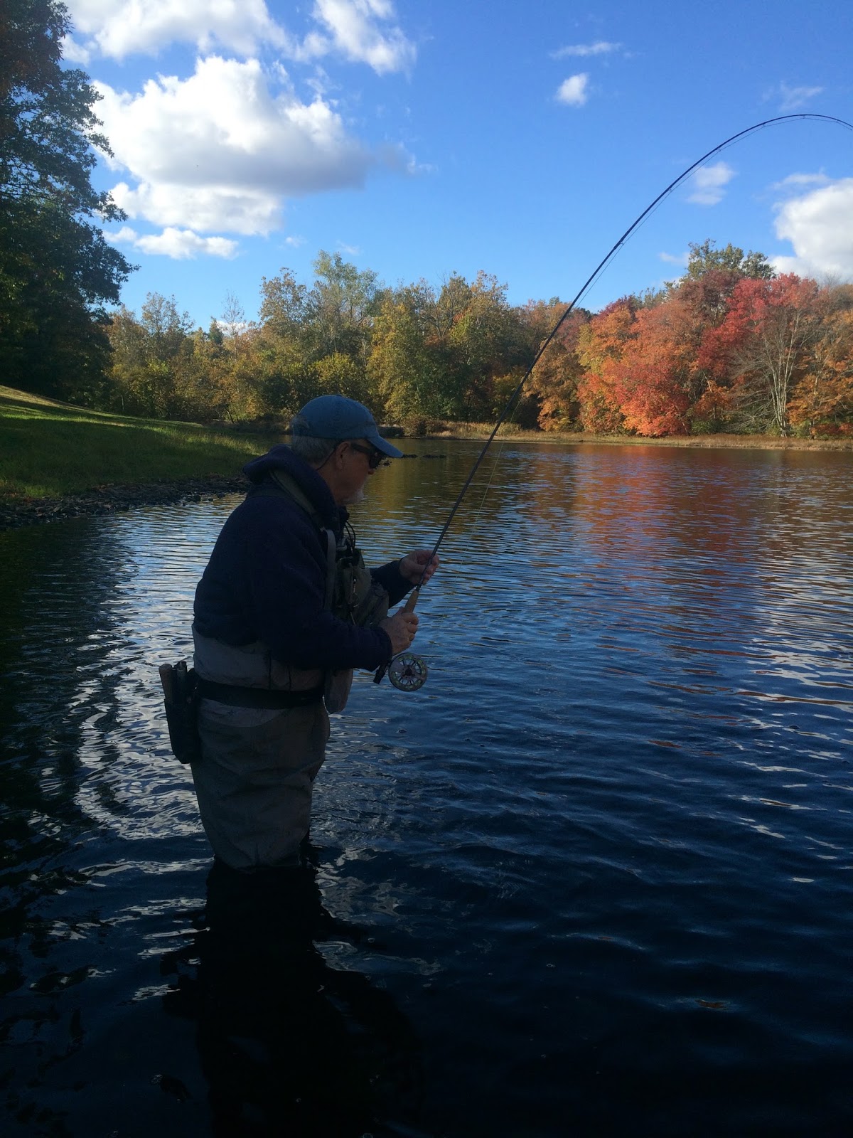 team7x : Atlantic Salmon on the Shetucket River UPDATE!