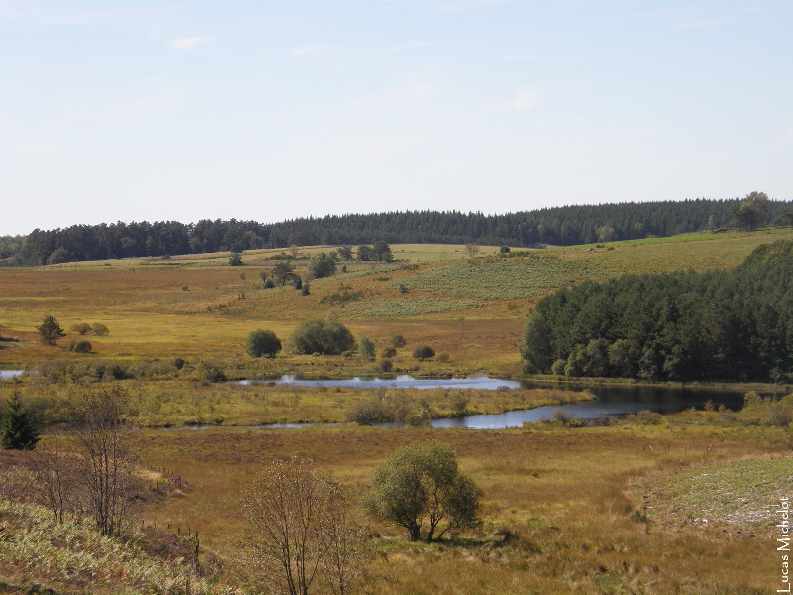 Quelques images de la nature: Troublante tourbière, les débuts d'une saga