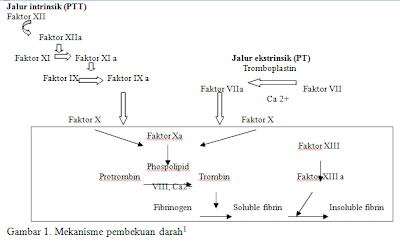 obgynmag: Disseminated Intravascular Coagulation (DIC) pada kehamilan