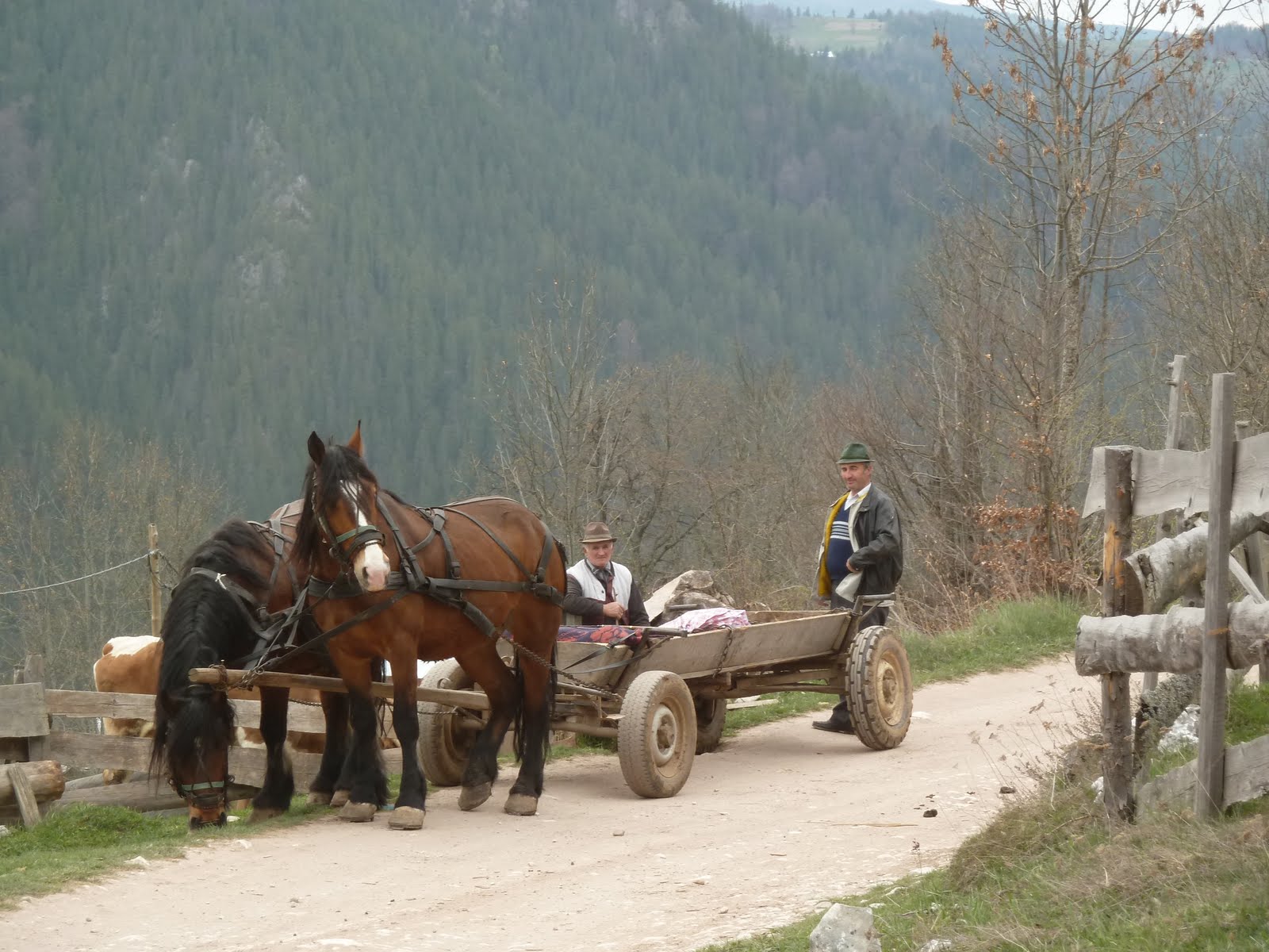 Discovering [What I Don't Know] about Romania: Moțeasca Cuisine, Gârda ...