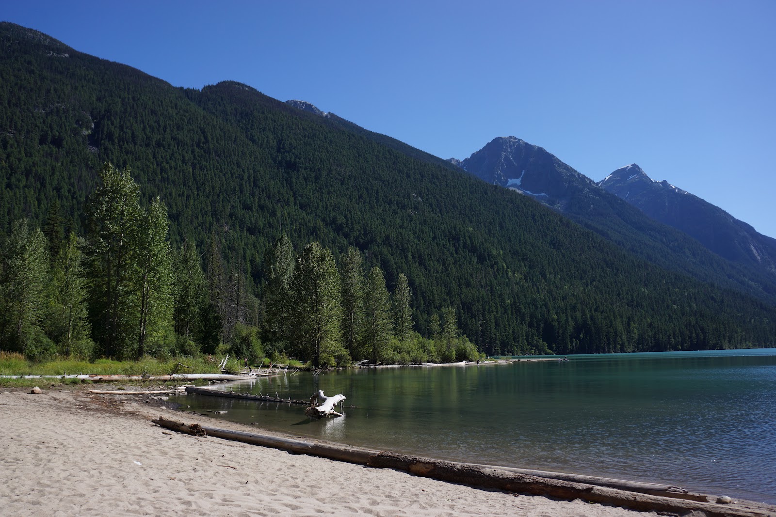 Victoria Chan: Camping : Birkenhead Lake, BC