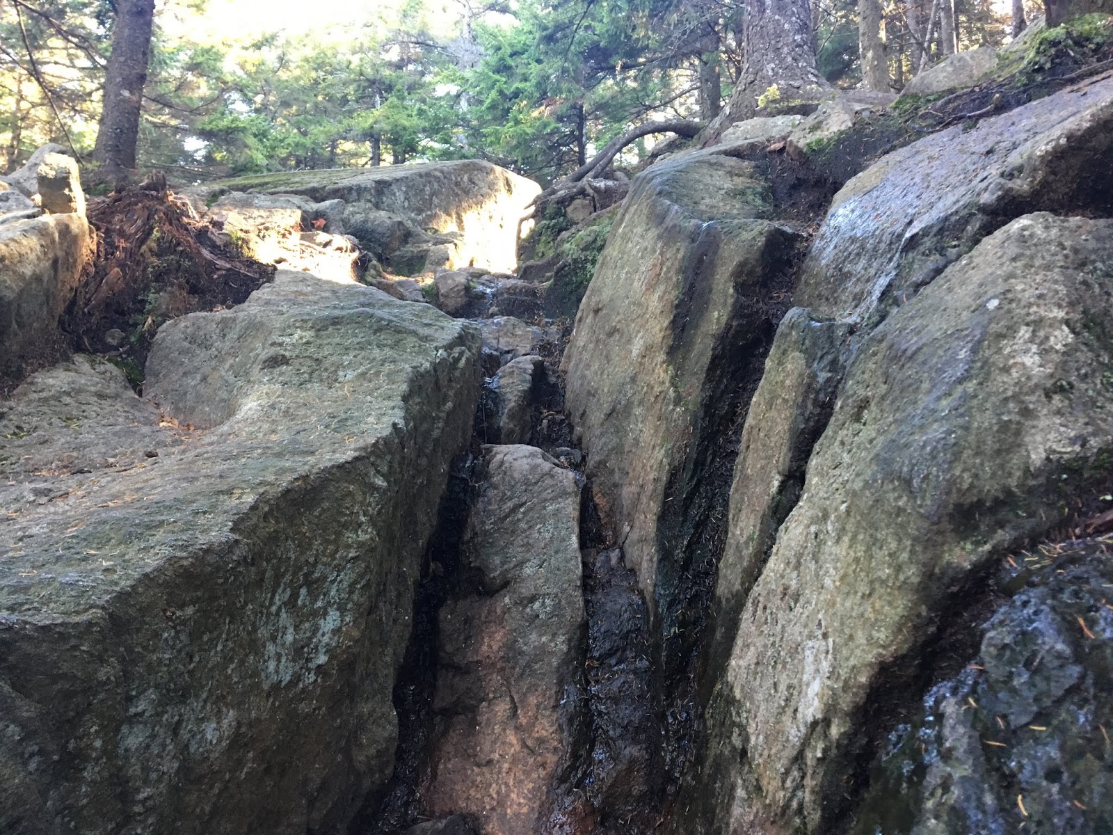 Mt Monadnock Monadnock State Park NH 52wav Hiking Conditions