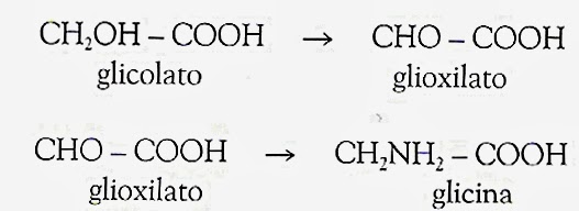 Licenciando em Química: outubro 2013