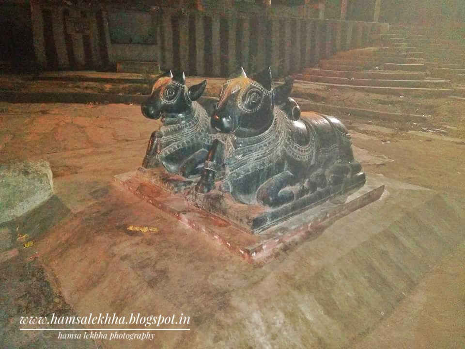 Hamsa Lekhha Travel diaries: Kotilingala kshetram & krishna river ...