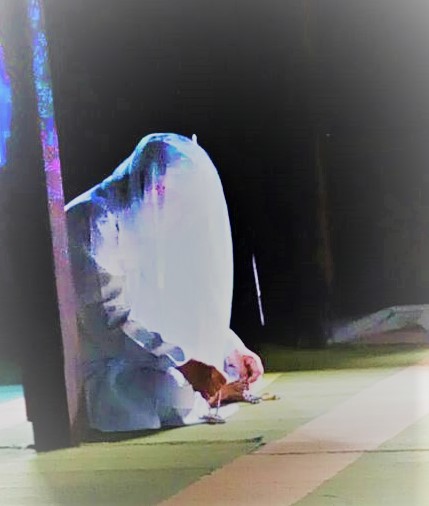 MADRASAH TN GURU SYEIKH OTHMAN ABD RAHMAN PT SELULUN: Bersuluk Dan Adab ...