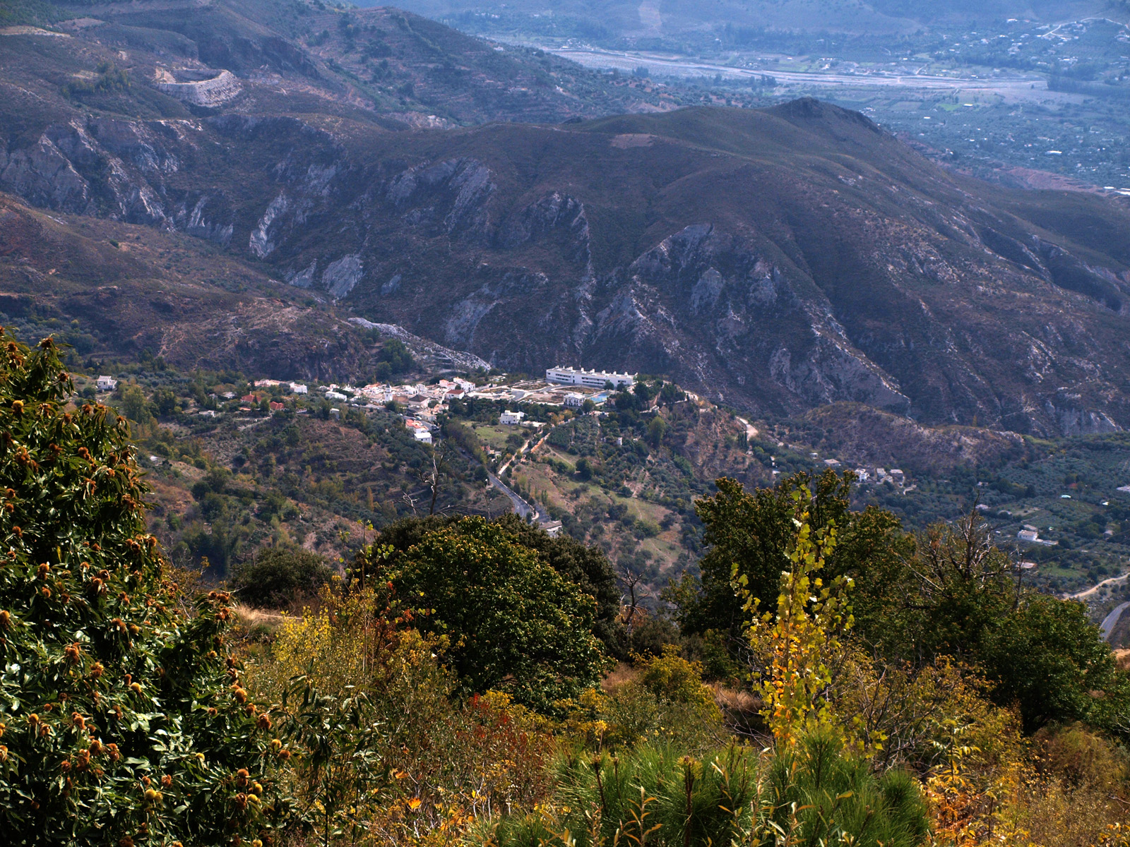 Caminando por Sierras y Calles de Andalucía: Almiar (Cañar - Granada)