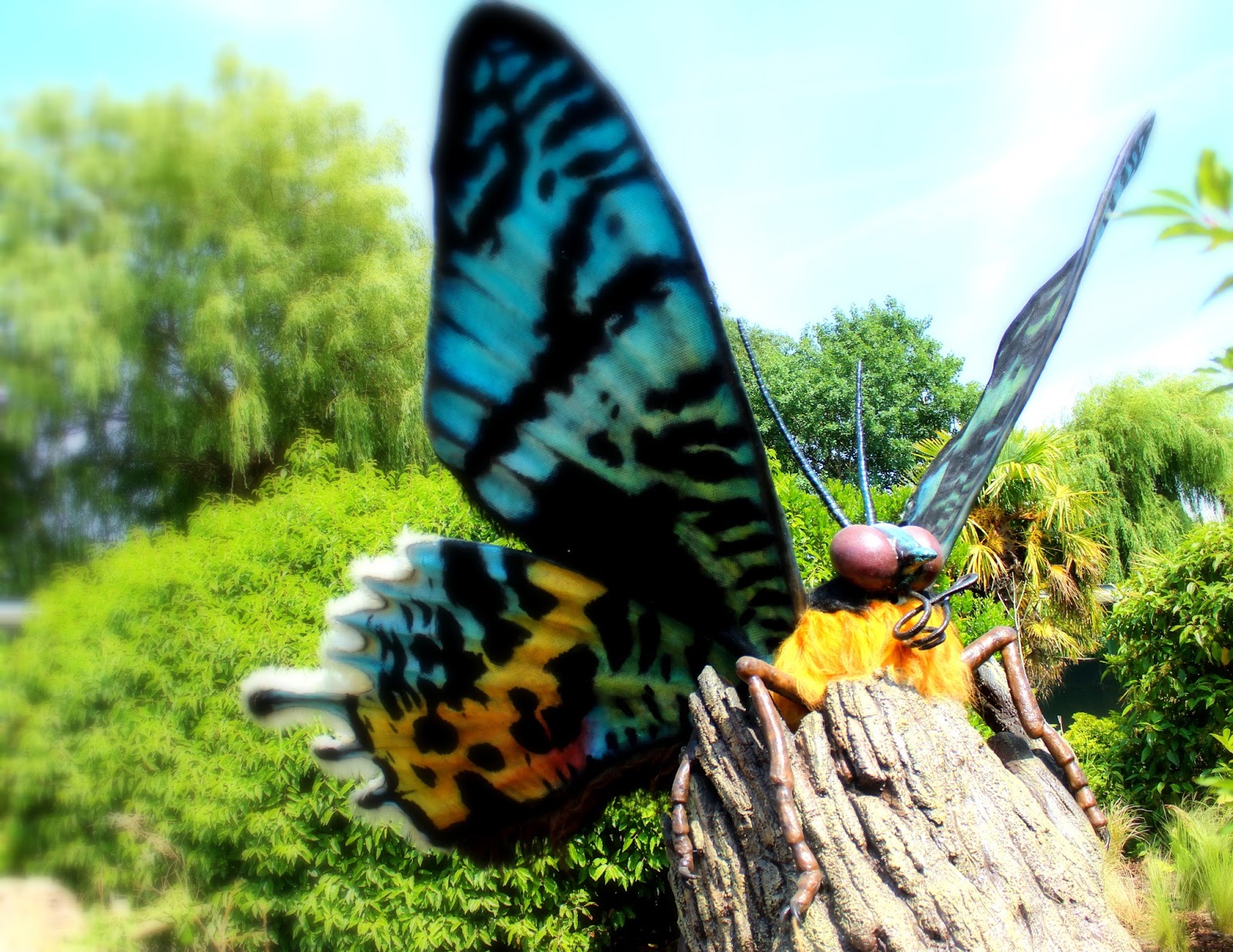 Weird Moths and Strange Facts - Science in the City