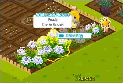 QWERENTZ in the GARDEN: Game Tentang Tanaman, Berkebun, dan Tanam-menanam