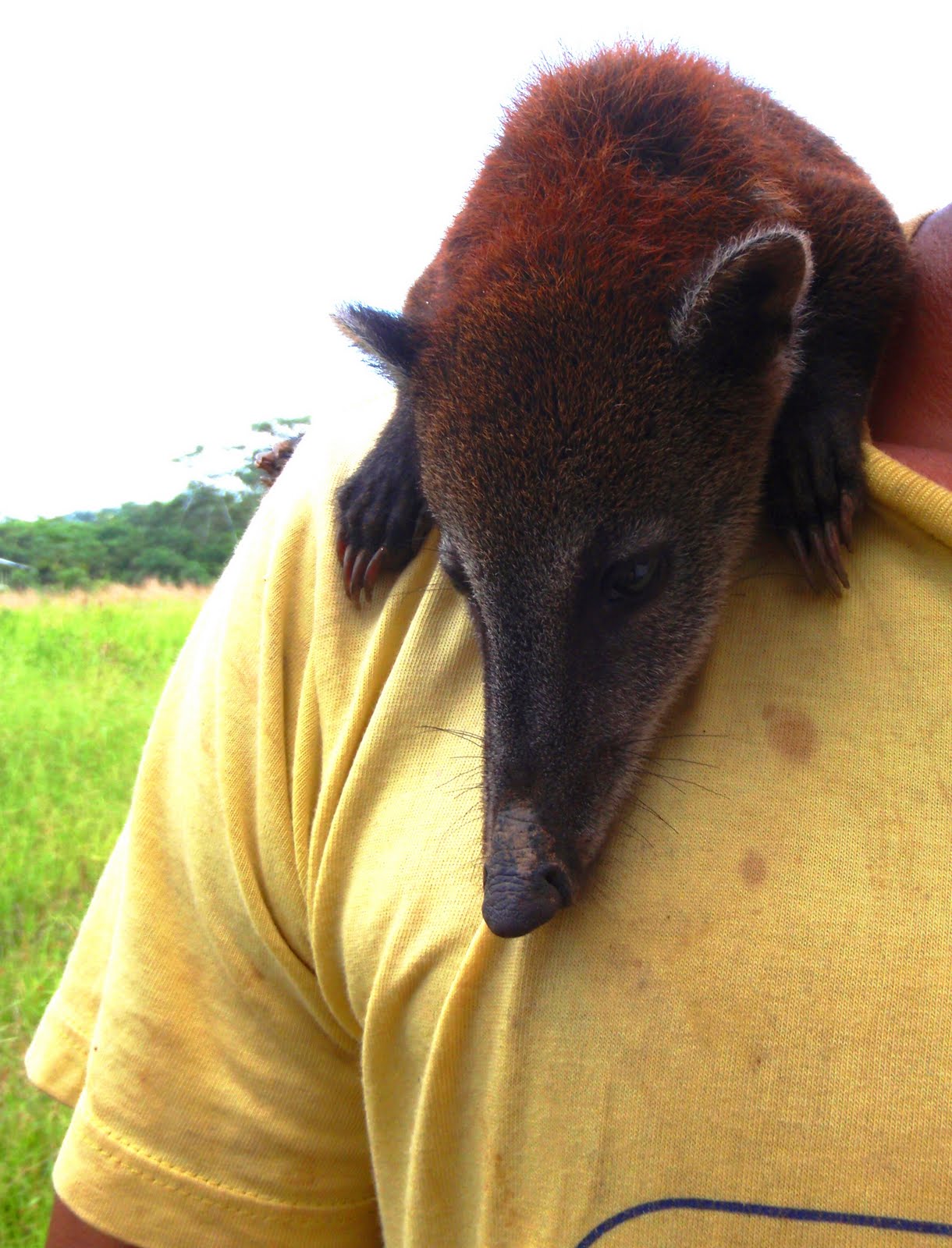 Environmental Education Project: What You Run Into With The Huao ...