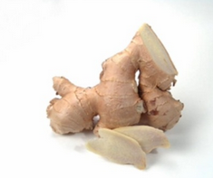 Zingiber Officinale From Zingiberaceae Family | Zingiberaceae Family ...