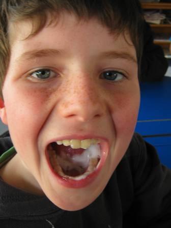 Room 4 Lawrence Area School 2011: Foaming at the Mouth - Sherbet