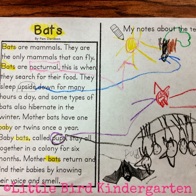 Little Bird Kindergarten: Bits About Bats!