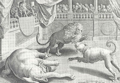 LION FACTS |The Garden of Eaden