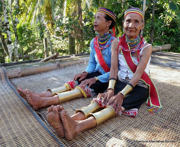 Penan Group: Background of Penan People