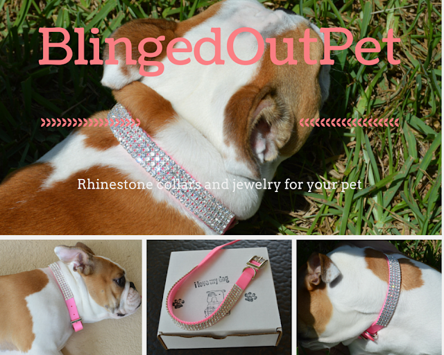 Blinged Out Pet: Rhinestone Dog Collars - Martinis | Bikinis