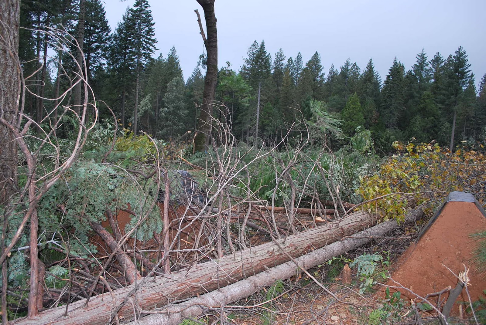 12 Gauge Trails: RIP 12 Gauge