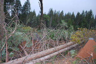 12 Gauge Trails: RIP 12 Gauge