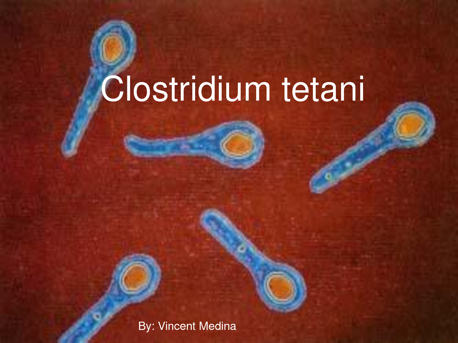 CLOSTRIDIUM